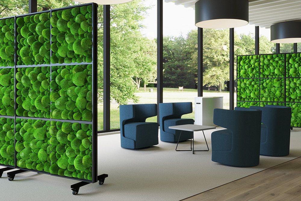 Hybrid Office: Where Work, Wellness, & Collaboration Converge - MB ...