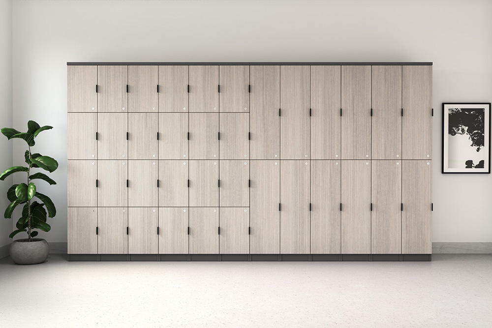 Personal Storage from Deskmakers Catalina Lockers - MB Contract ...