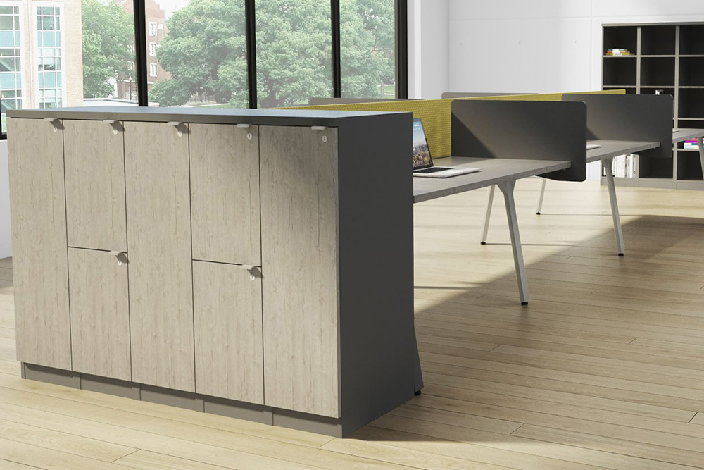 Personal Storage from Deskmakers Catalina Lockers - MB Contract ...